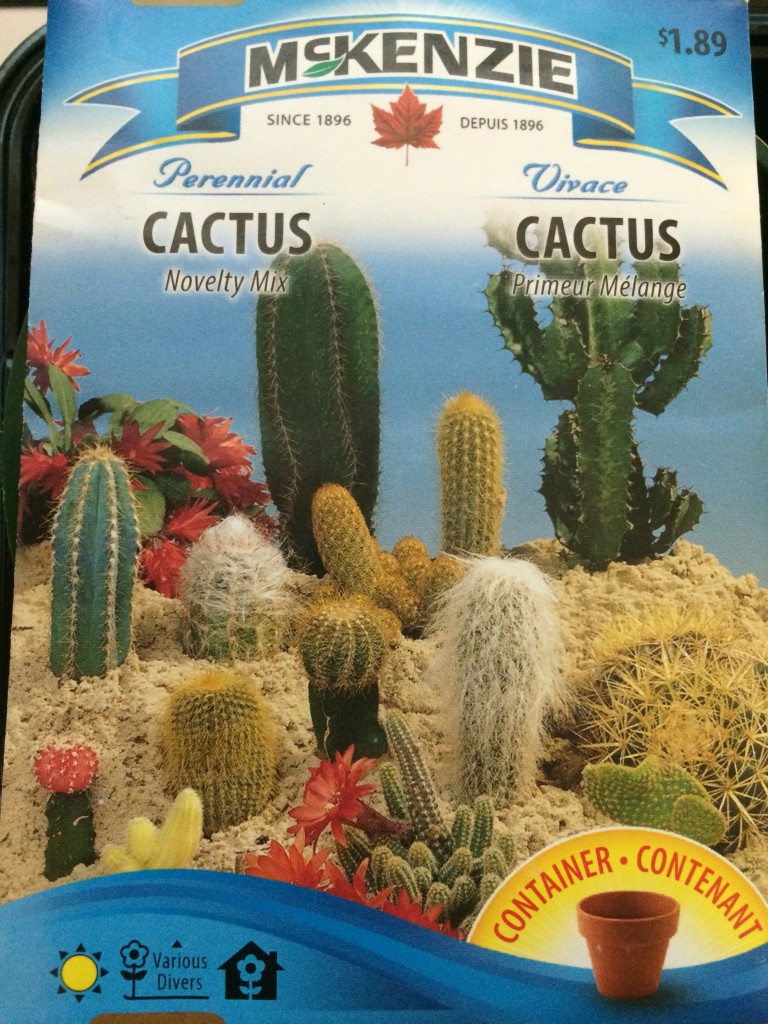 Semis de cactus - Jardinier paresseux