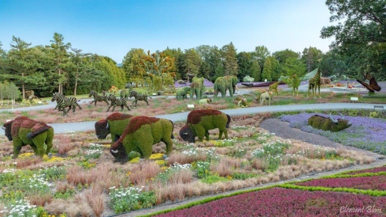 Une visite aux Mosaïcultures - Jardinier paresseux