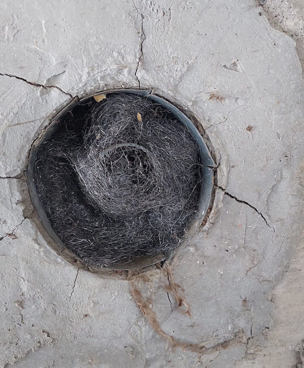 The Big Comeback… of Mice! - Laidback Gardener